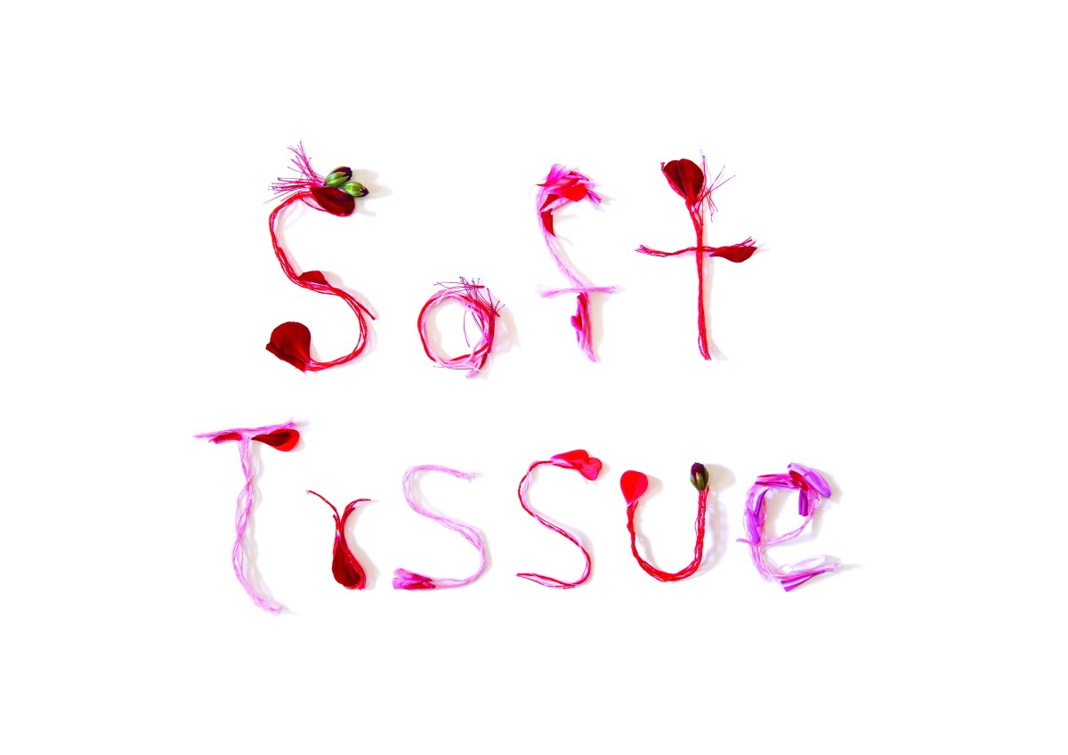 Soft Tissue (2018)